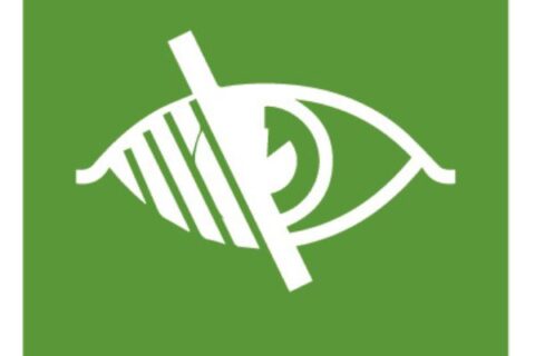 Sensory Services by Sight for Surrey - Sensory Services by Sight for Surrey